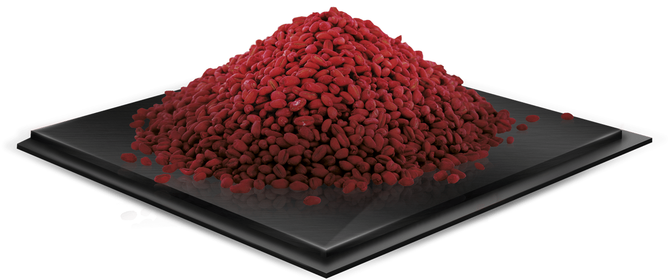 BAIGRO BLéTECH grain | DE SANGOSSE New Zealand