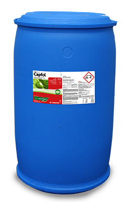 CAPFOL | DE SANGOSSE New Zealand