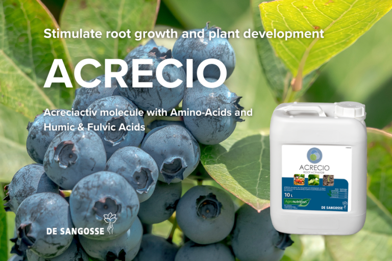 Stimulate Root Growth and plant development with ACRECIO® | DE SANGOSSE ...